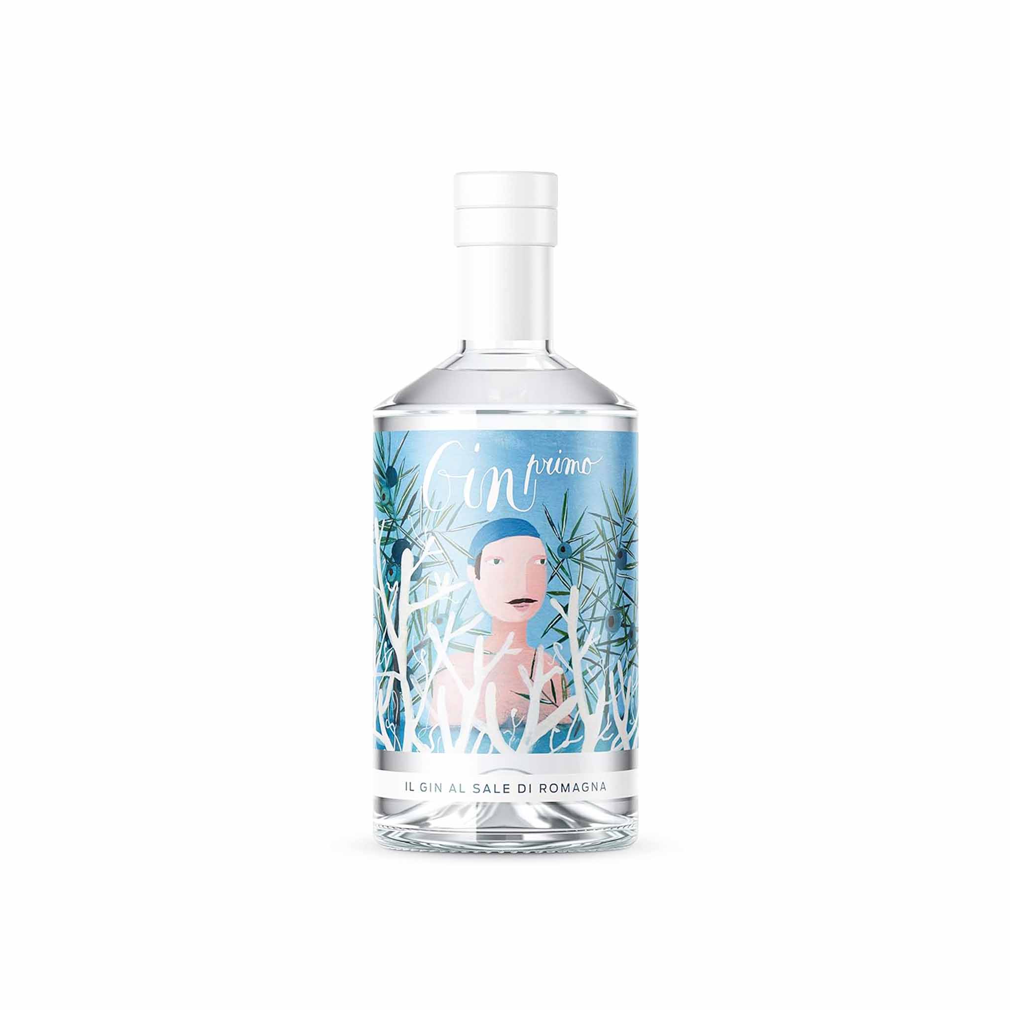PRIMO GIN WITH ALE FROM ROMAGNA 700ml – monsieur marcel gourmet market